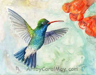 Hummingbird Paintings art Carol May
